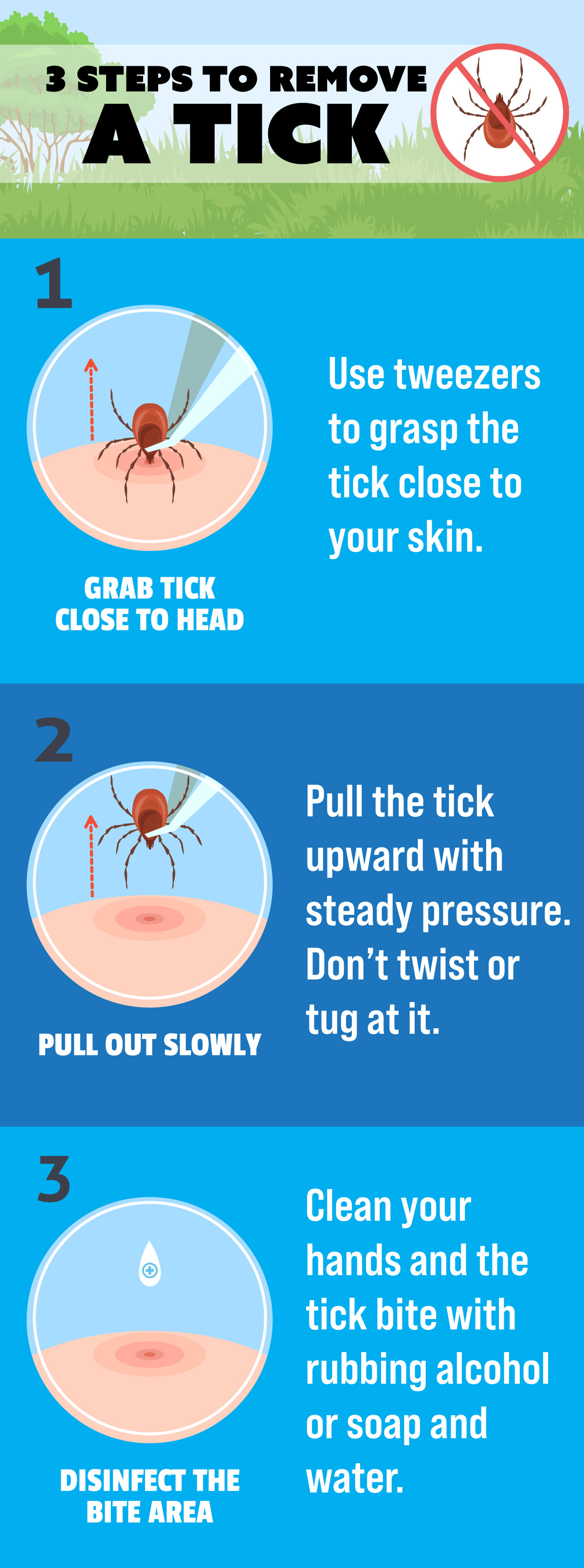 Evict a tick | Olympic Medical Center