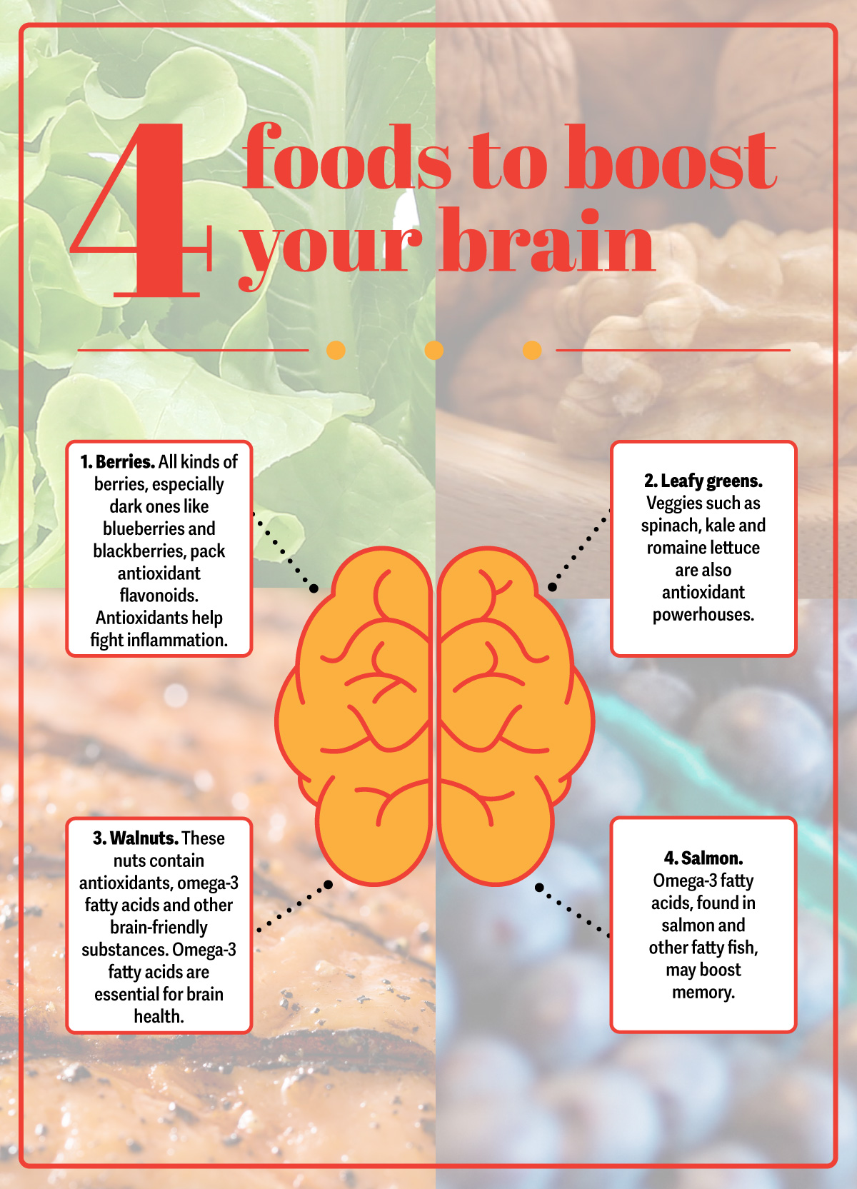 Feed your brain